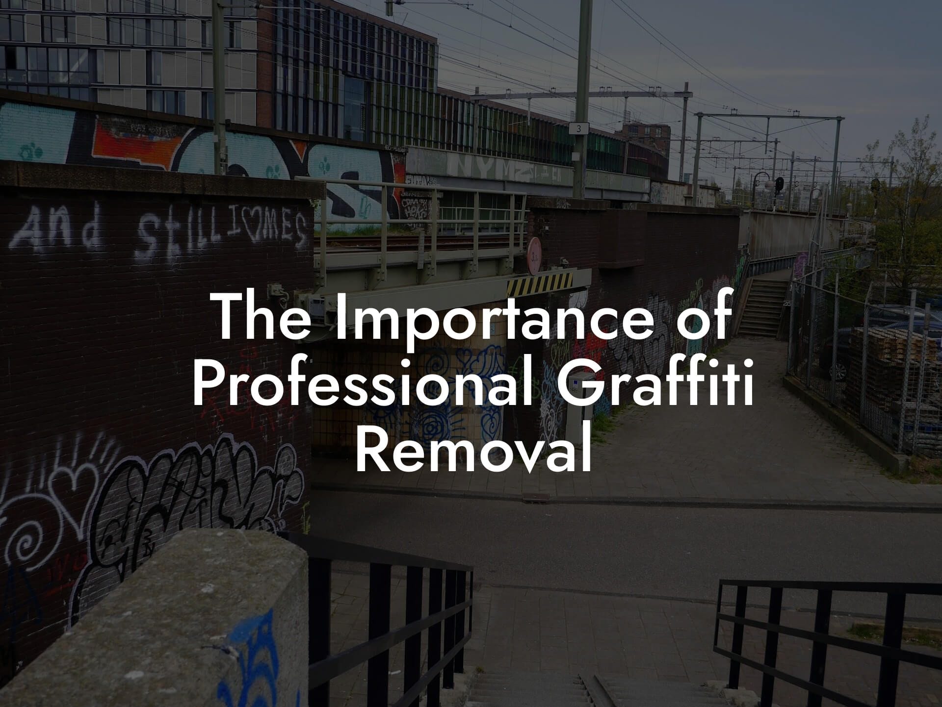 The Importance of Professional Graffiti Removal